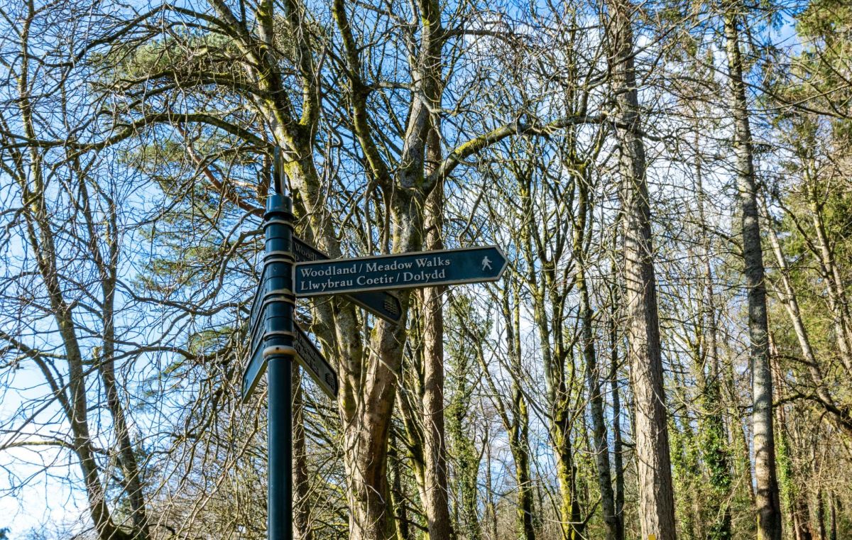 Sefydliad Cyfarthfa Foundation | Cyfarthfa Park Signage & Wayfinding Survey