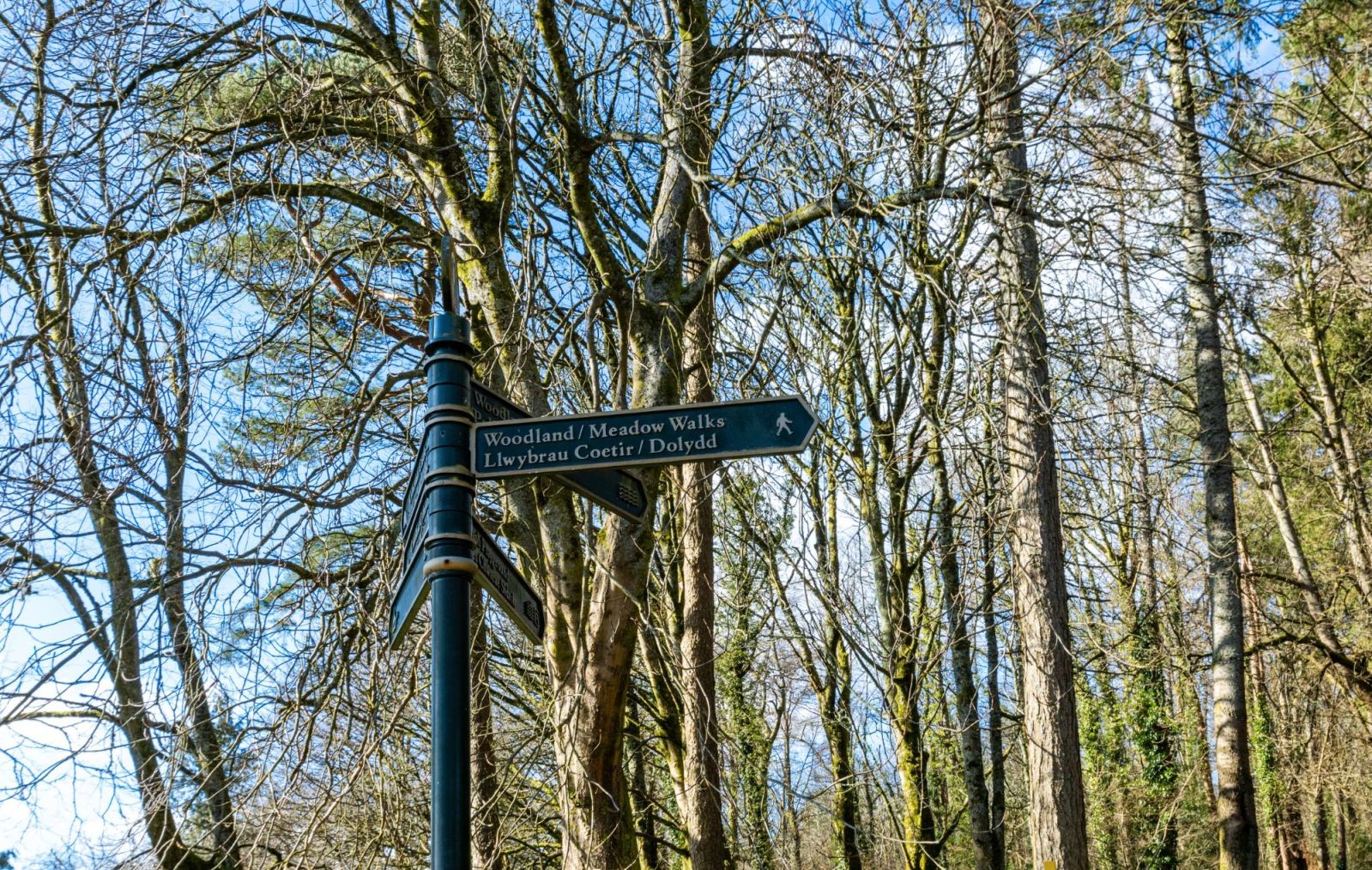 Sefydliad Cyfarthfa Foundation | Cyfarthfa Park Signage & Wayfinding Survey